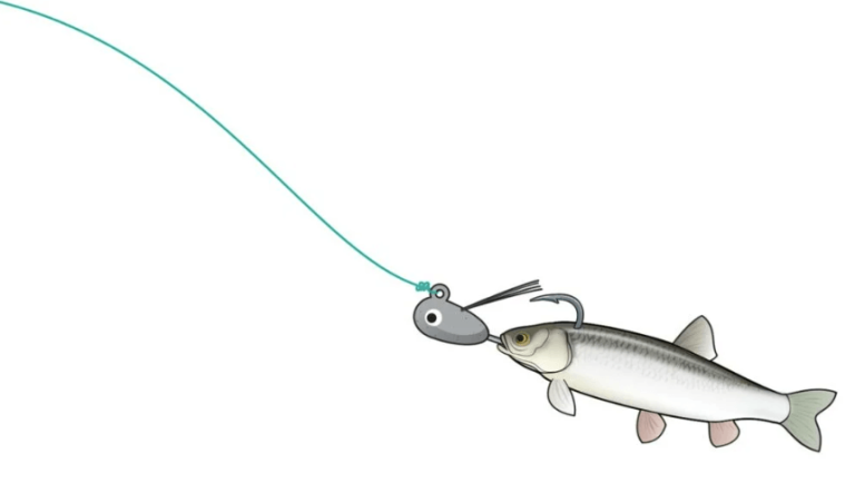 How to tie a crappie rig? Crappie rigs Setup & Tips (2024)