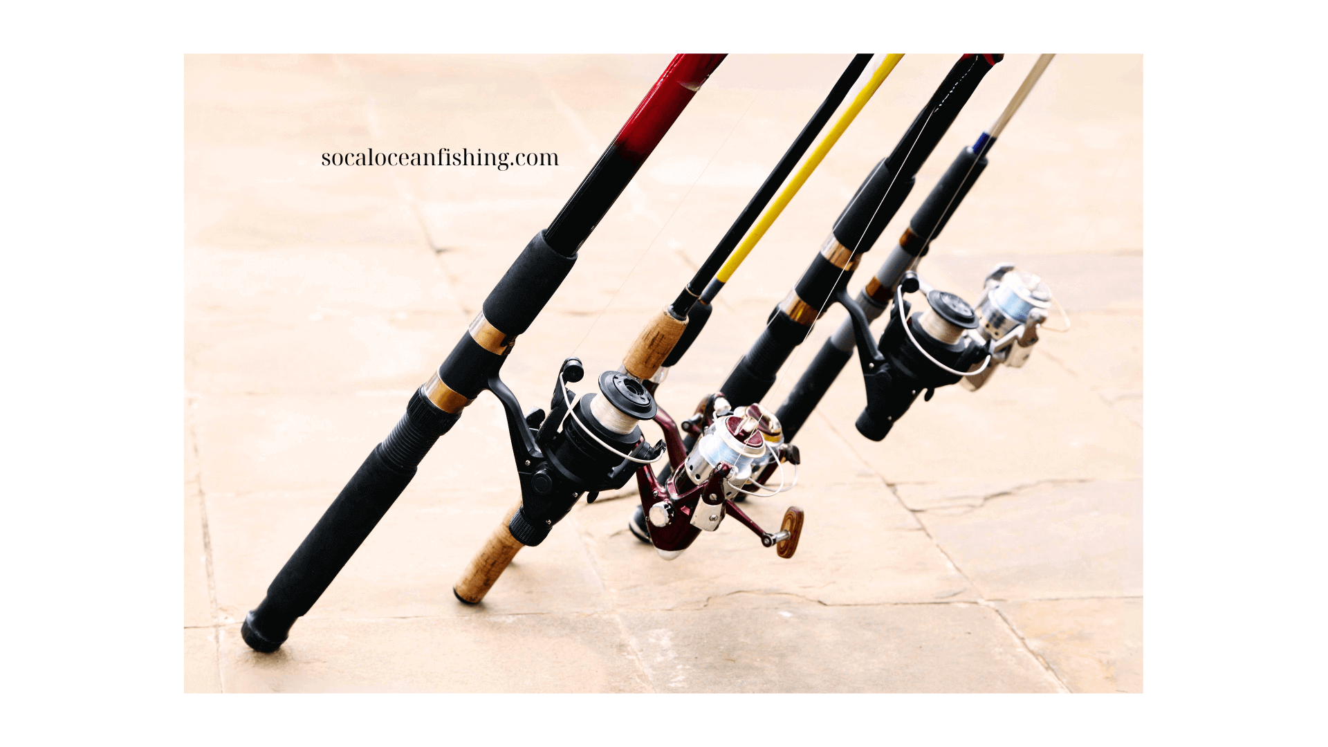 4 main types of fishing rod materials you should know (2025)